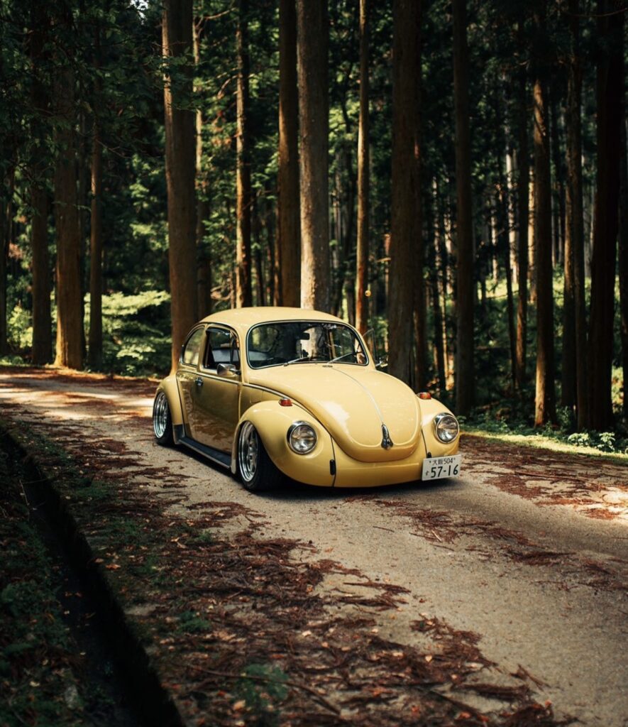 1971-79 1302 / 1303 Super Beetle Deluxe Cantilever IRS Air Ride Kit ...